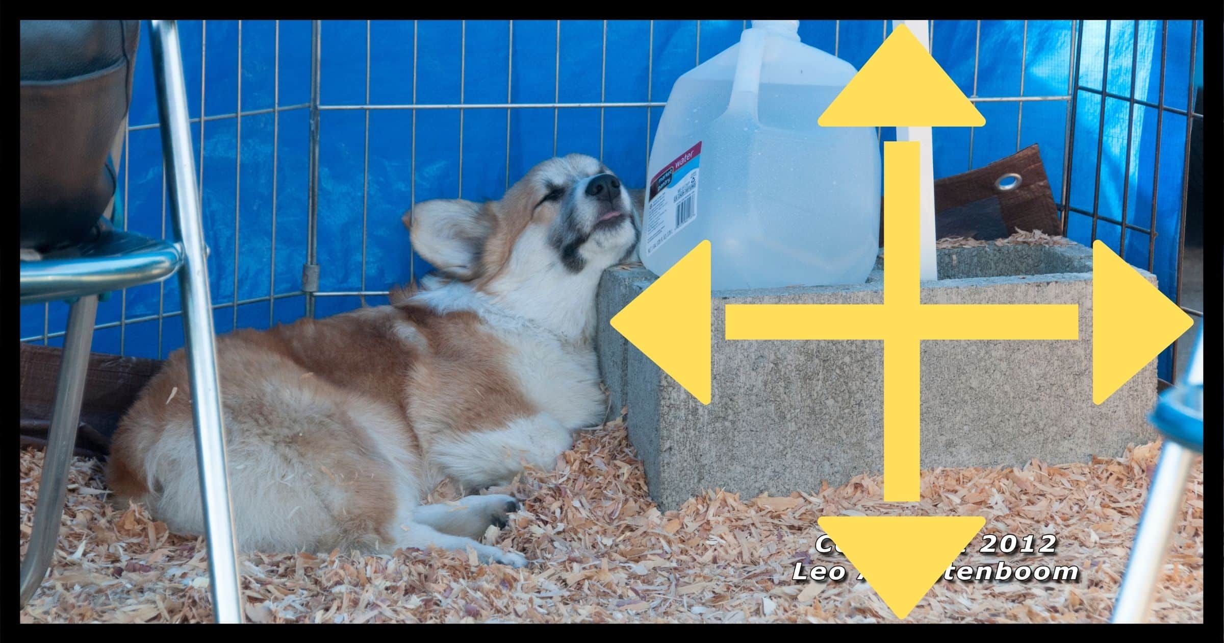 How Pixels, DPI, Resolution, Picture Size, and File Size All Relate ...